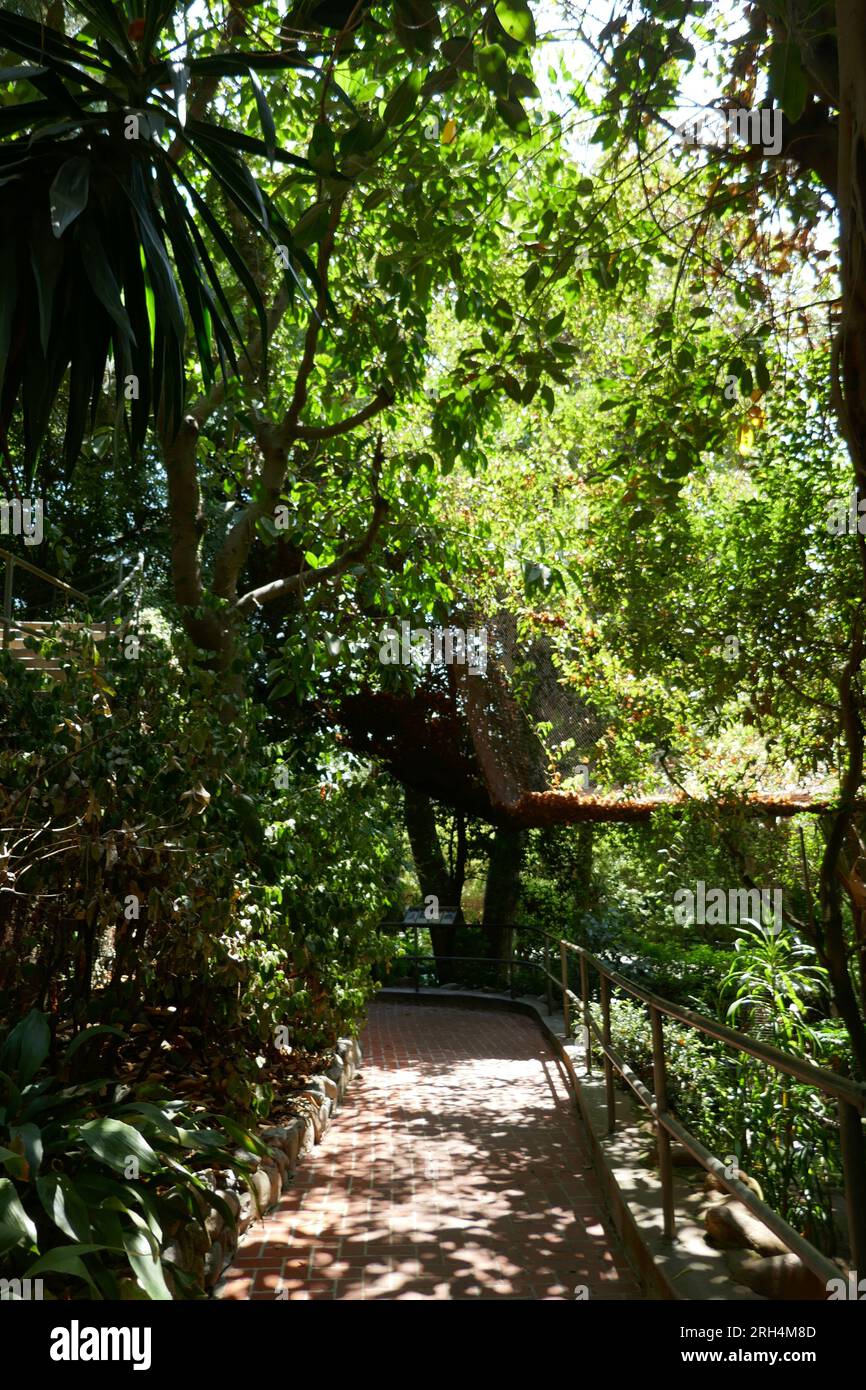 Los Angeles, California, USA 11th August 2023 Aviary at LA Zoo on ...