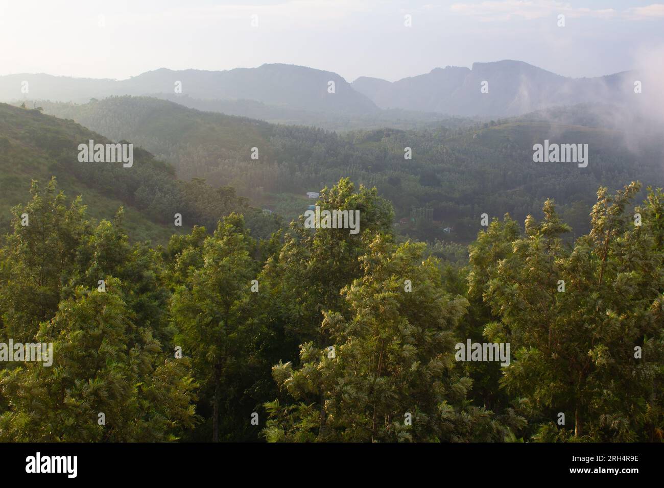 Scenic morning view of the kolli hills in the Namakkal district, Tamil ...