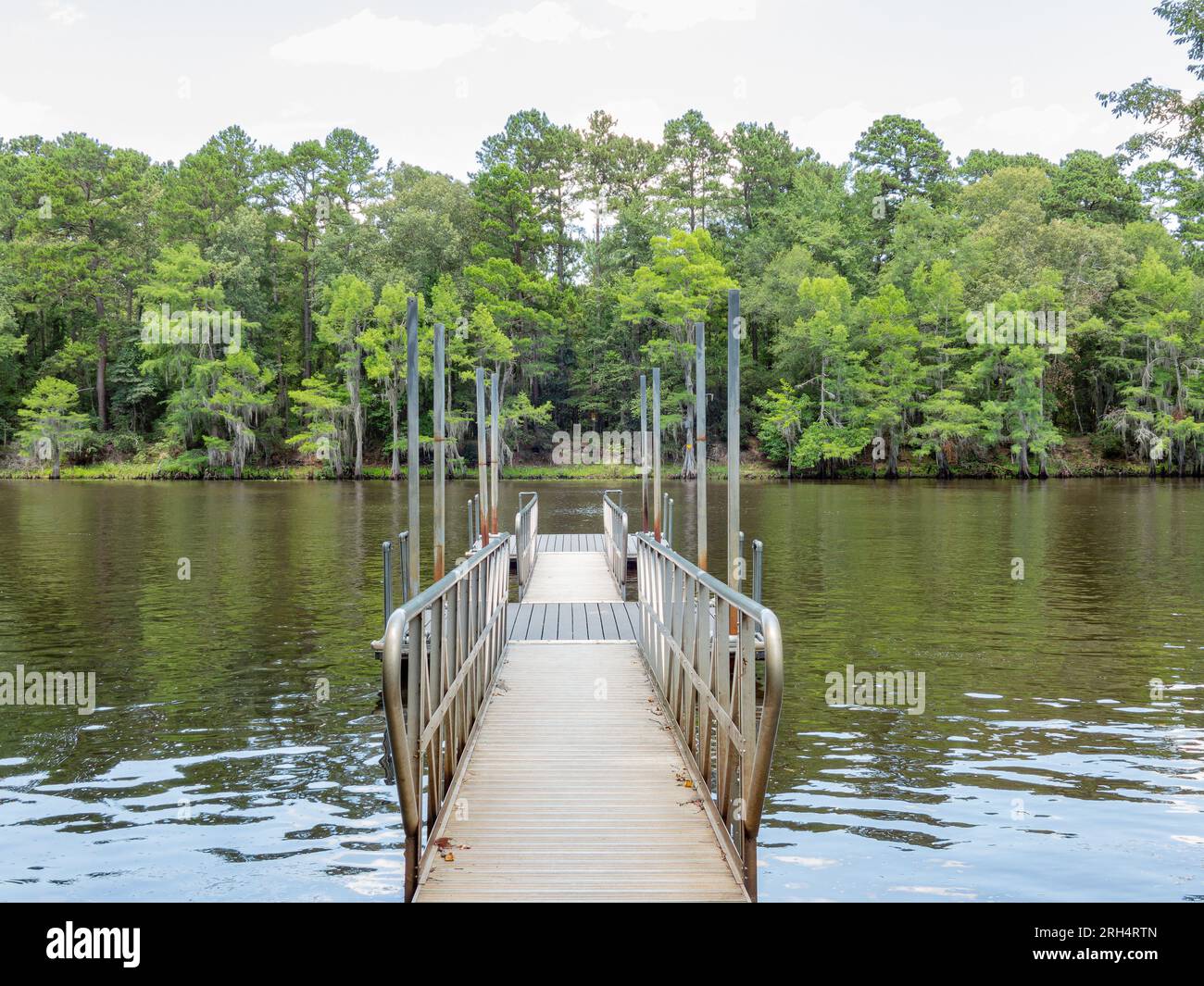 Fishing and boat launch in Caddo Lake State Park at Texas Stock Photo ...