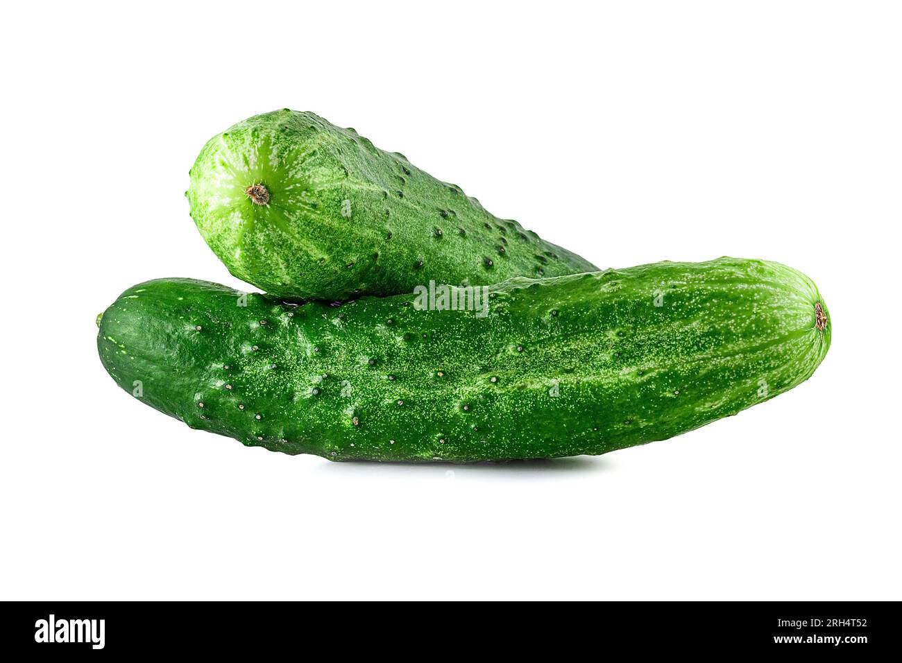Fresh cucumber vegetable isolated on white background. image for ...