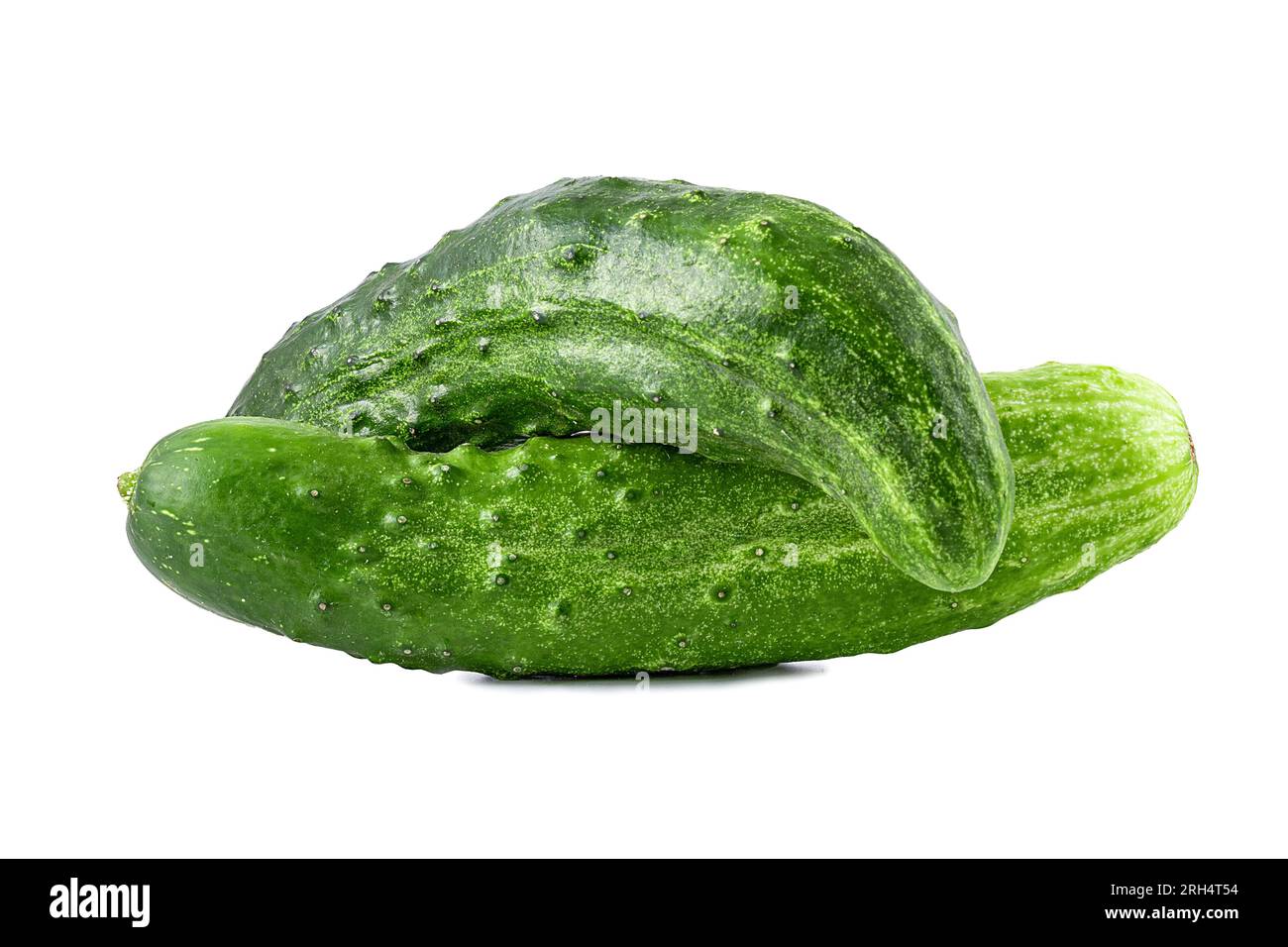 Fresh cucumber vegetable isolated on white background. image for ...