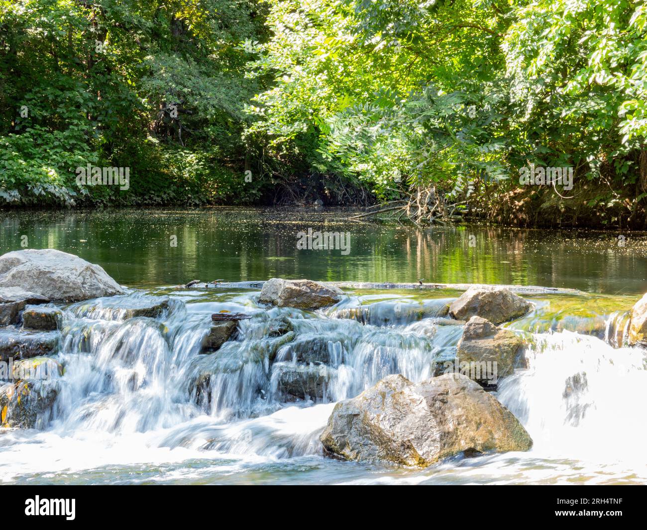 Sunny view of the landscape of Prairie Creek Park at Texas Stock Photo ...