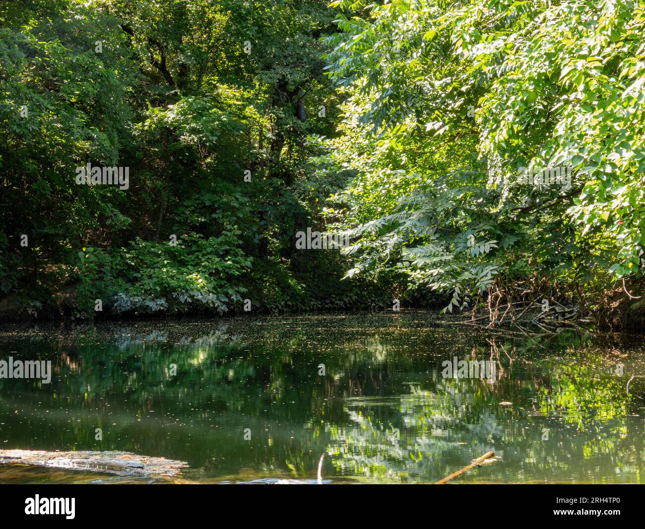 Sunny view of the landscape of Prairie Creek Park at Texas Stock Photo ...
