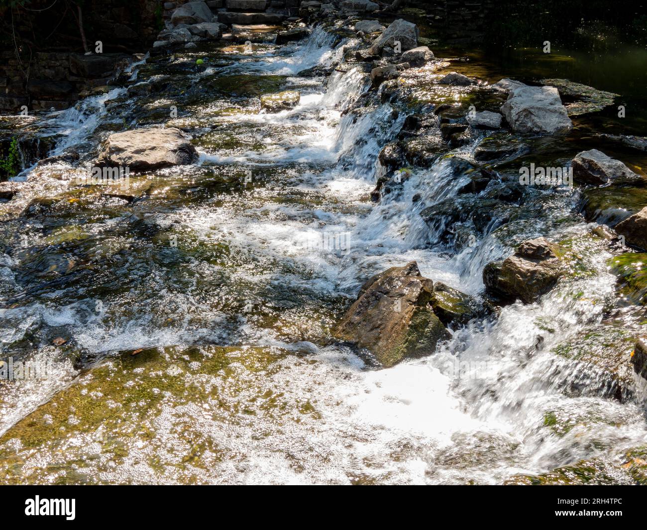 Sunny view of the landscape of Prairie Creek Park at Texas Stock Photo ...
