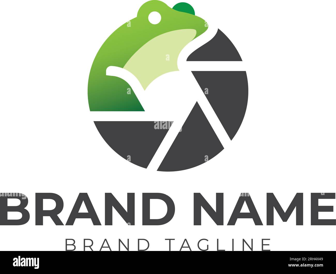 Green frog photo Stock Vector Images - Alamy