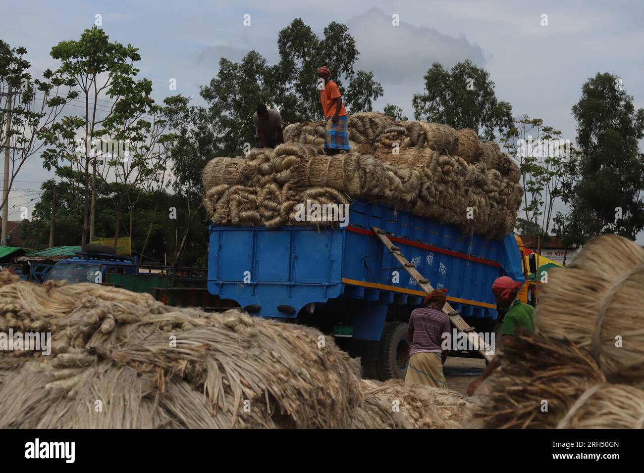 Jute fibre market hi-res stock photography and images - Alamy