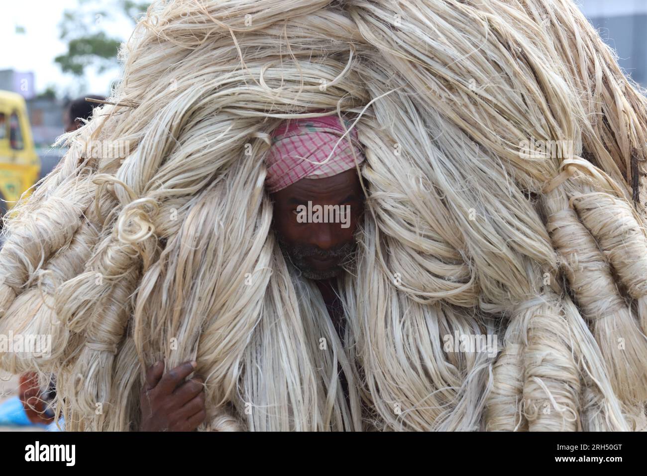 A worker taking newly harvested jute down at Kalampur Jute Market at ...