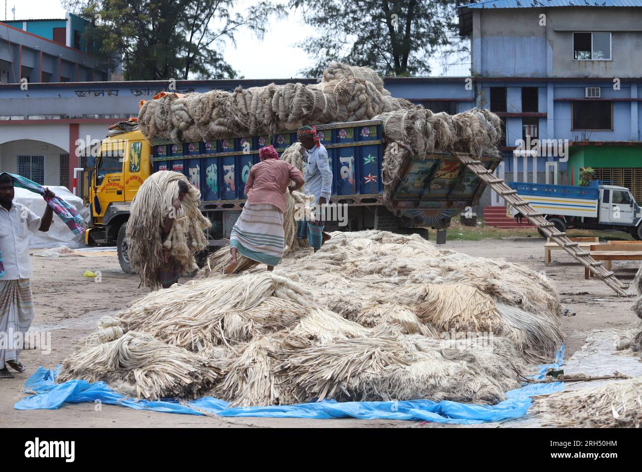 Jute fibre market hi-res stock photography and images - Alamy