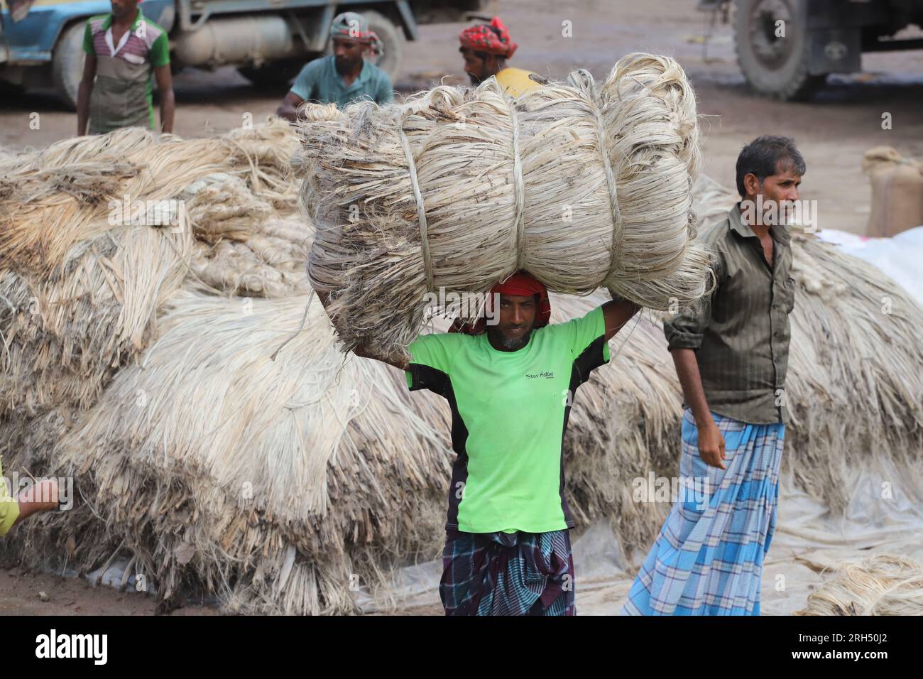 A worker taking newly harvested jute down at Kalampur Jute Market at ...