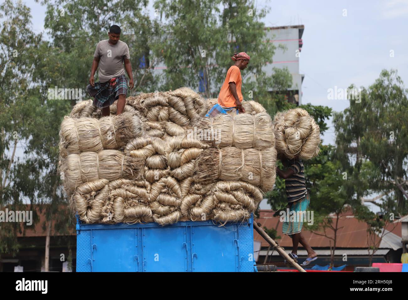 Jute fibre market hi-res stock photography and images - Alamy
