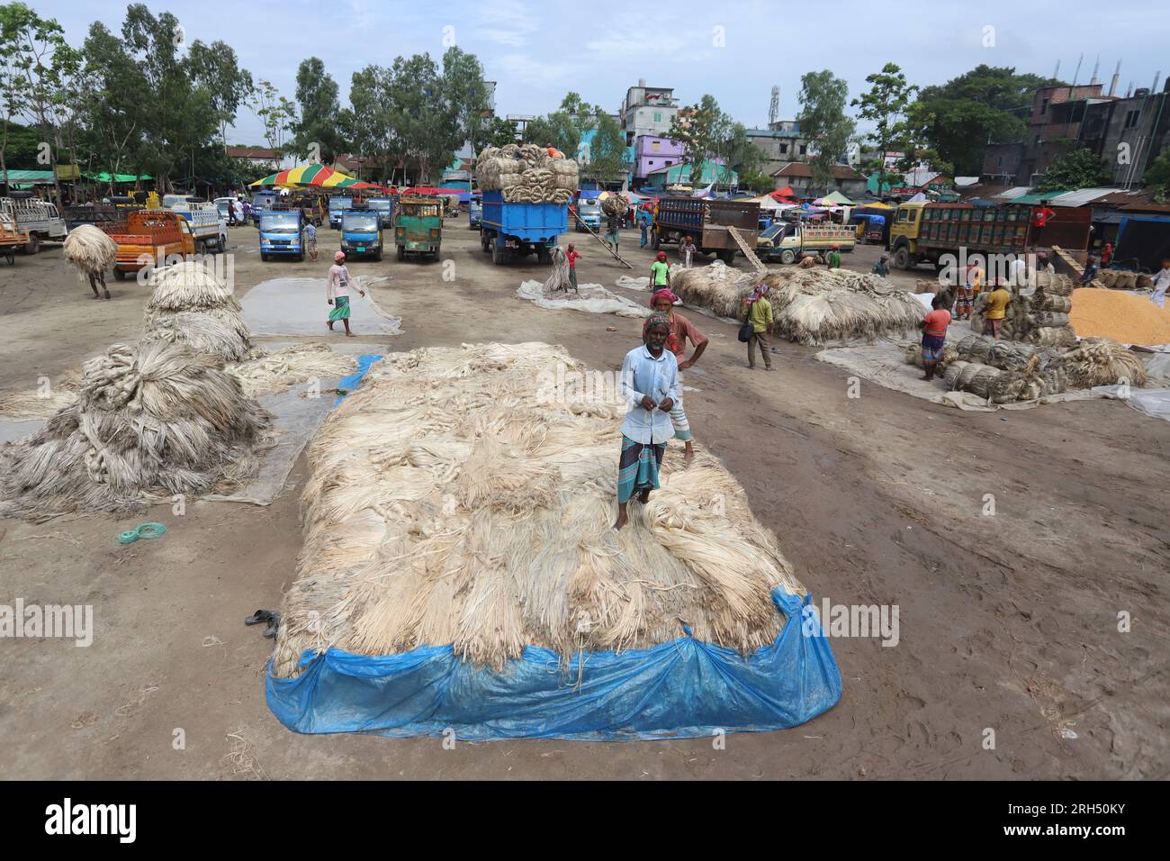 Jute fibre market hi-res stock photography and images - Alamy