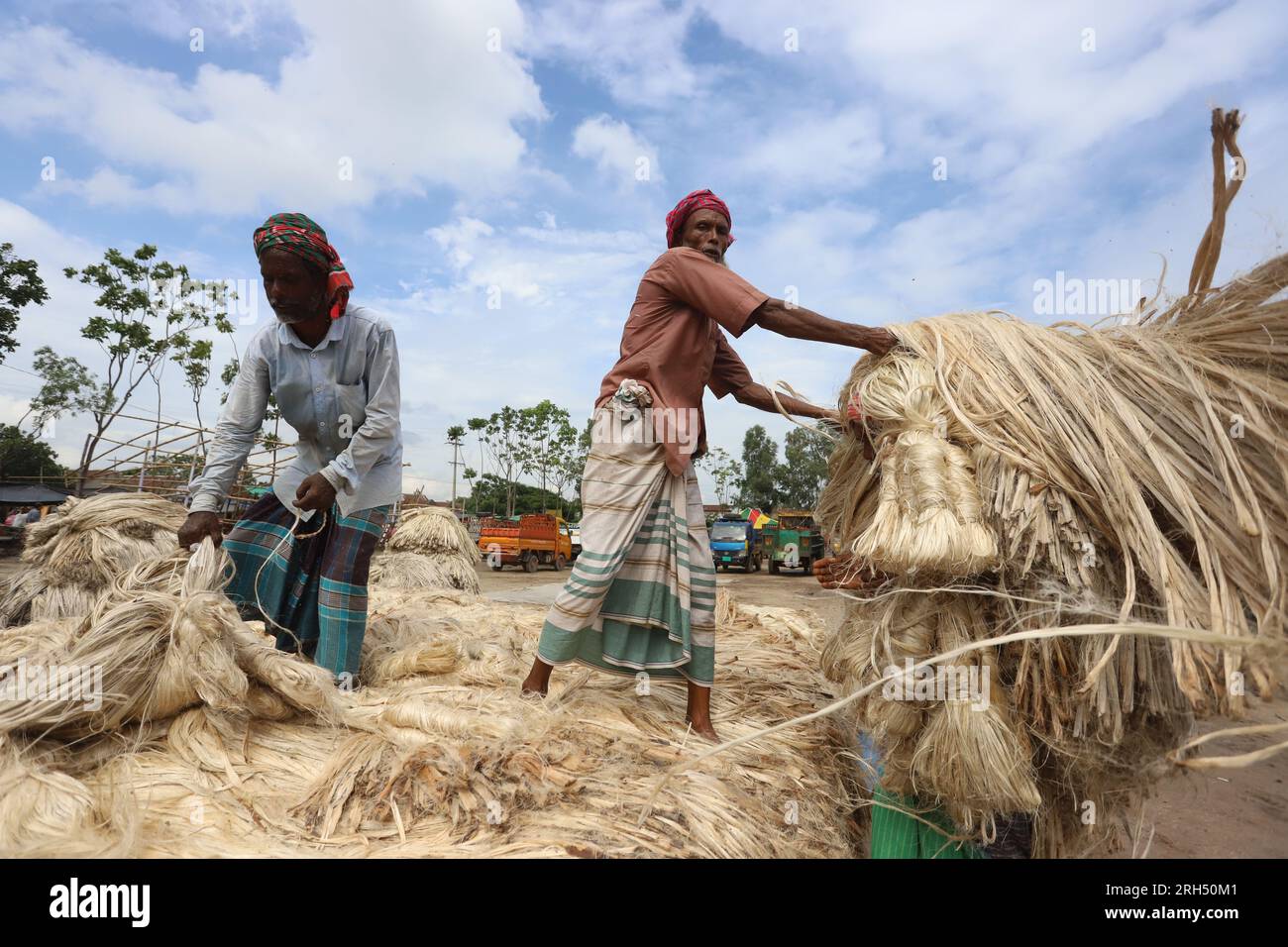 Golden fibre of bangladesh hi-res stock photography and images - Alamy
