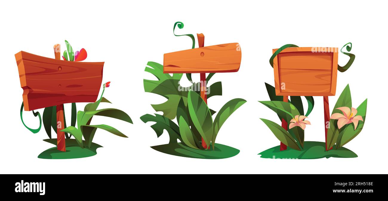 Jungle wooden sign board with plants and flowers. Cartoon vector ...