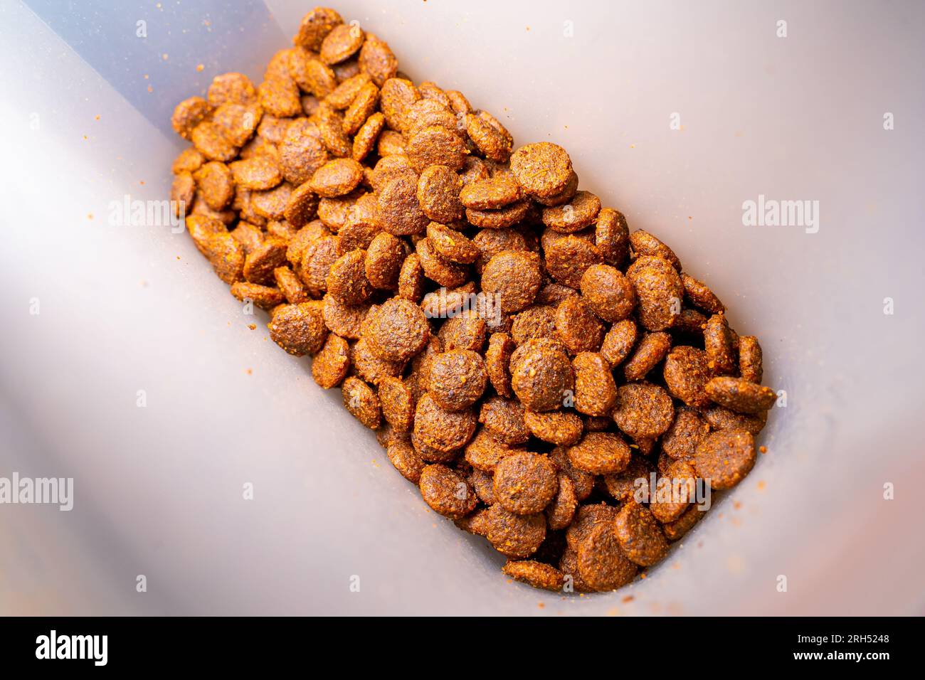 Cat dry food in a container close-up. Universal balanced nutrition for ...
