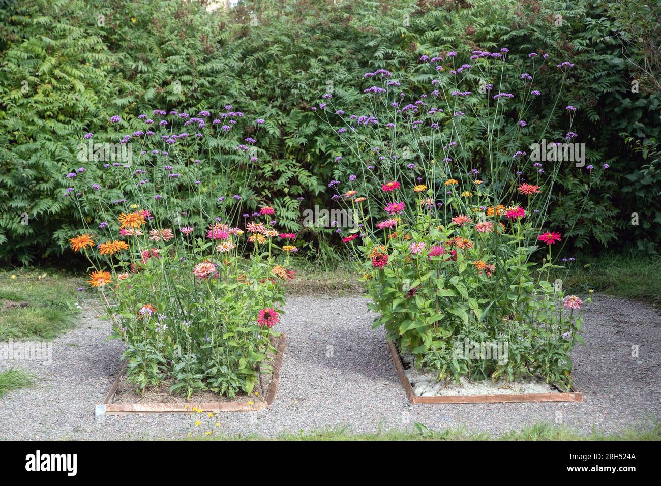 Two garden beds with copper tape as a snail shelter Stock Photo - Alamy
