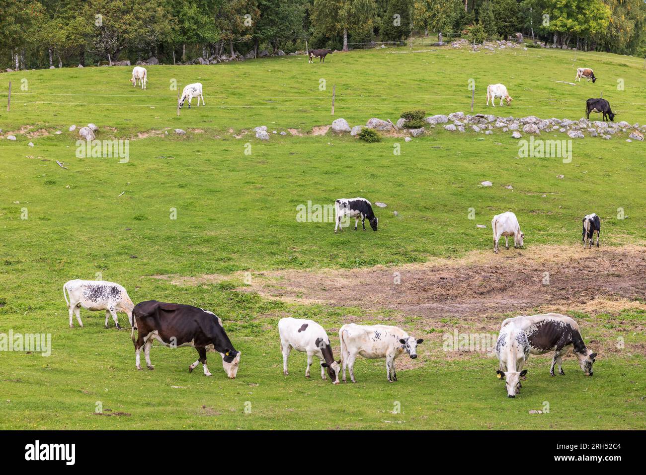 Fjall landscape hi-res stock photography and images - Alamy
