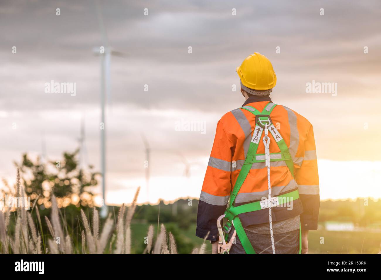 Back view of Engineer male standing looking at Wind turbines field ...