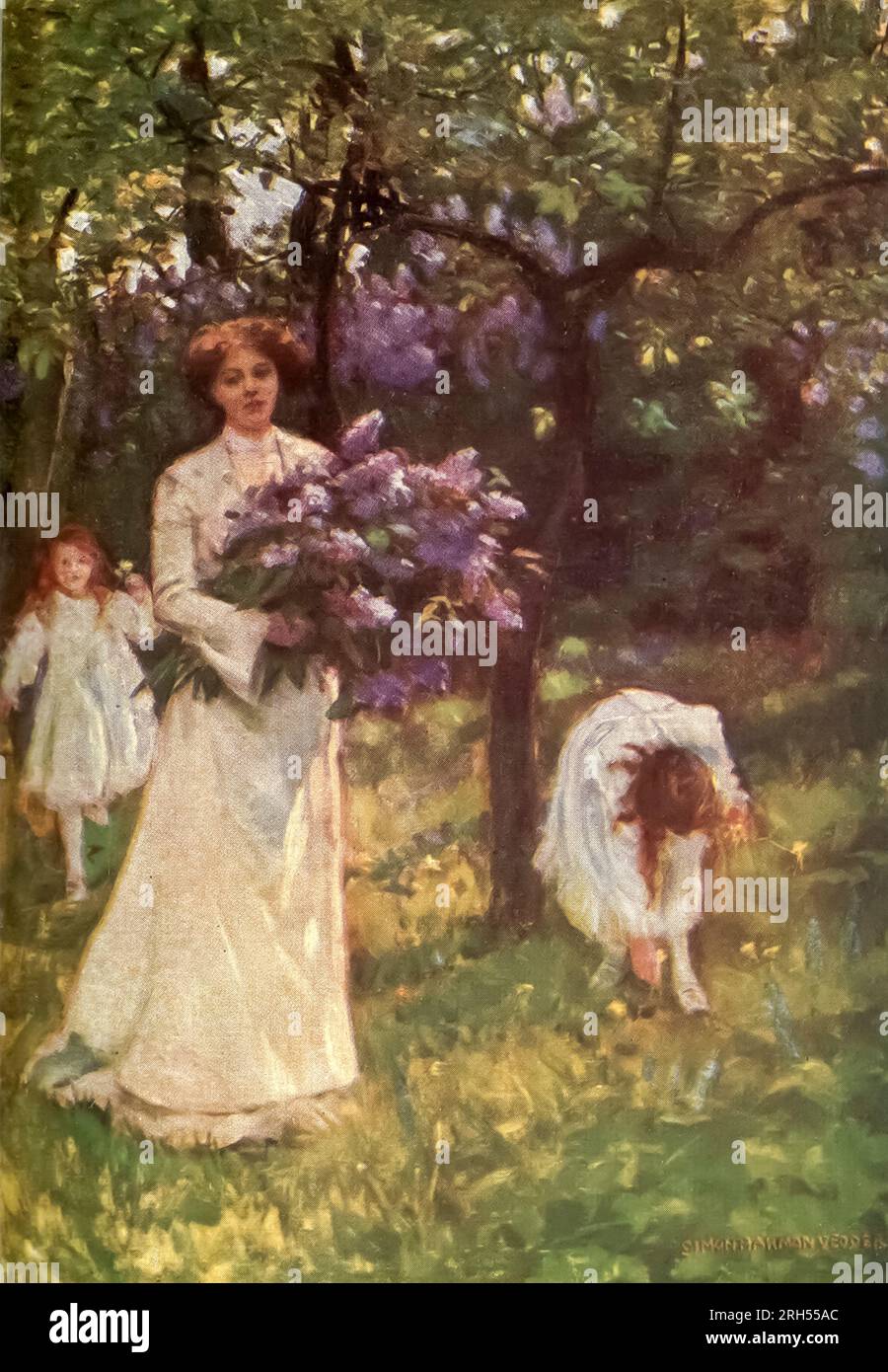 Oh, those lilac bushes ! I have brought in armfuls Illustrated by Simon ...