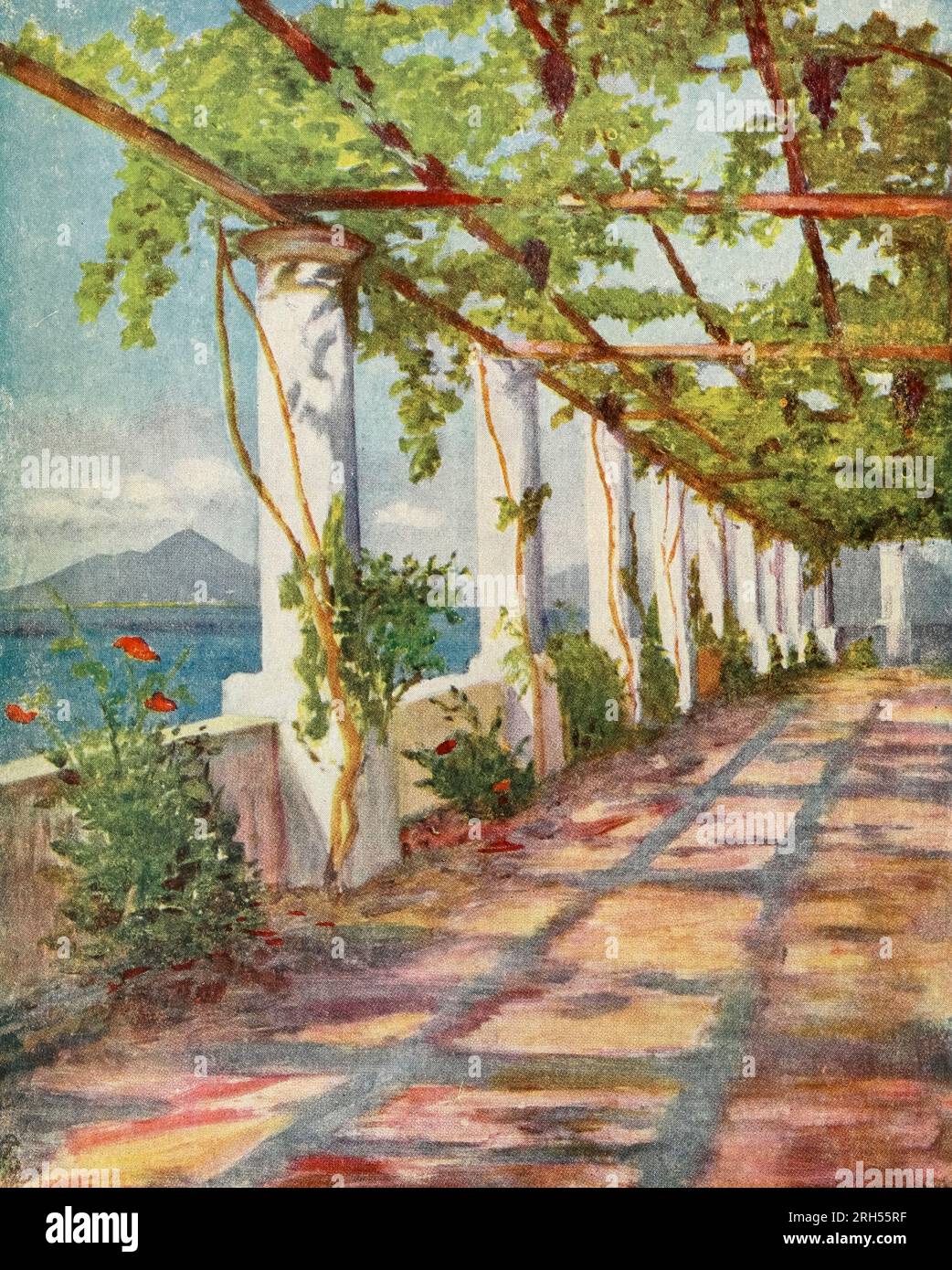 A PERGOLA LOOKING OUT ON MOUNT VESUVIUS frontispiece from the book ...