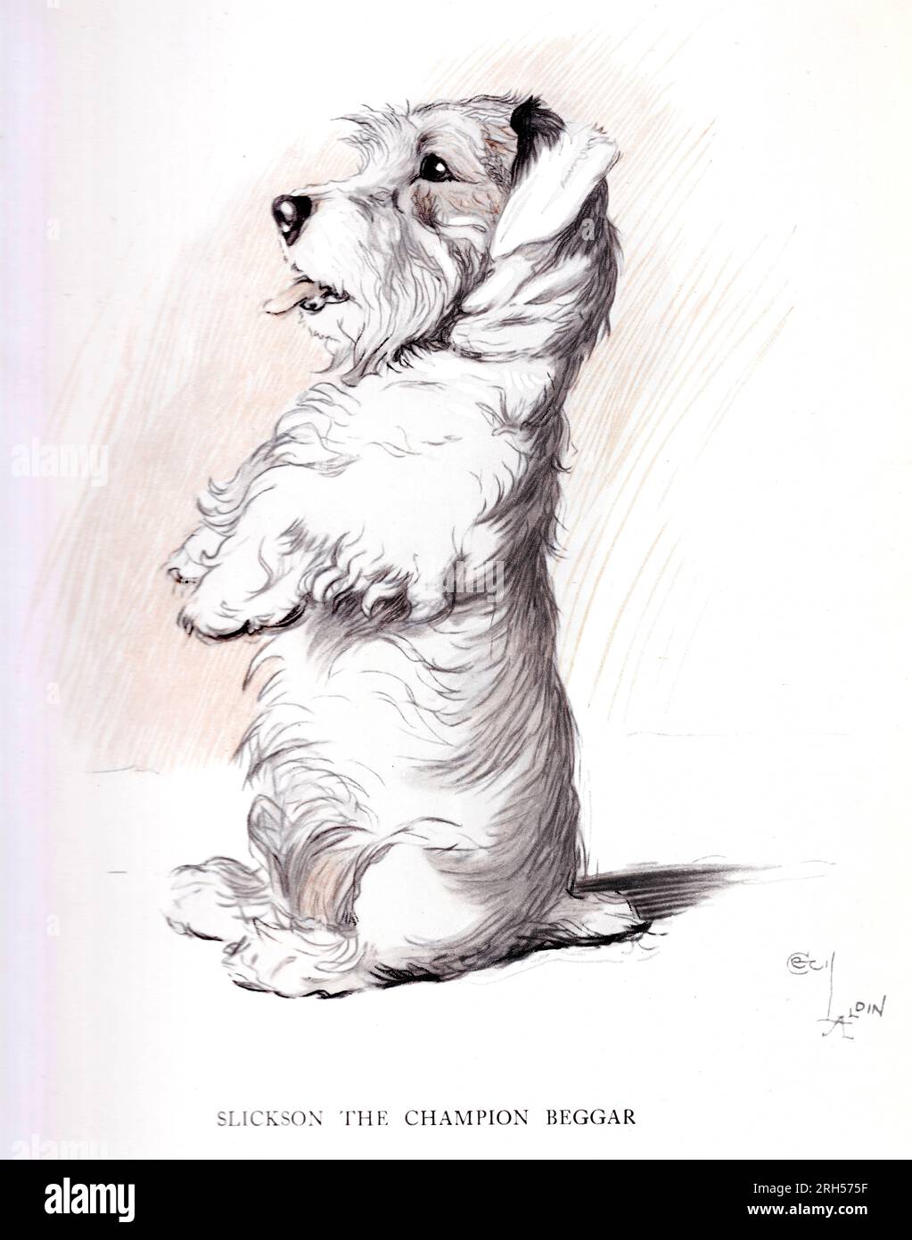 Cecil Alden (1870-1935) - An Artist's Models 1930 p.78 - Slickson, the ...