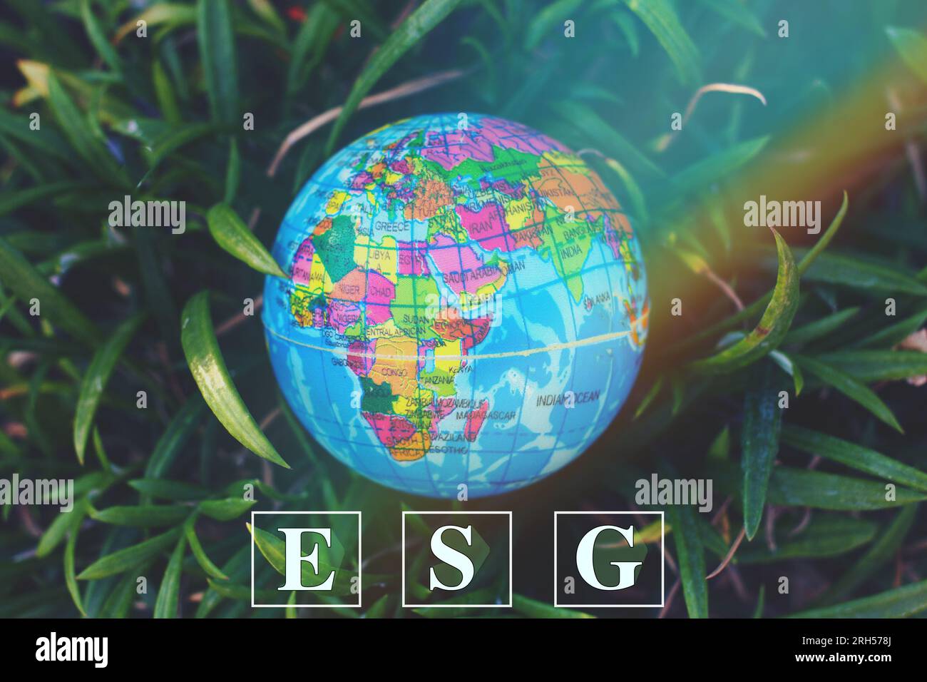 ESG concept of environmental, social and governance.words ESG on a ...