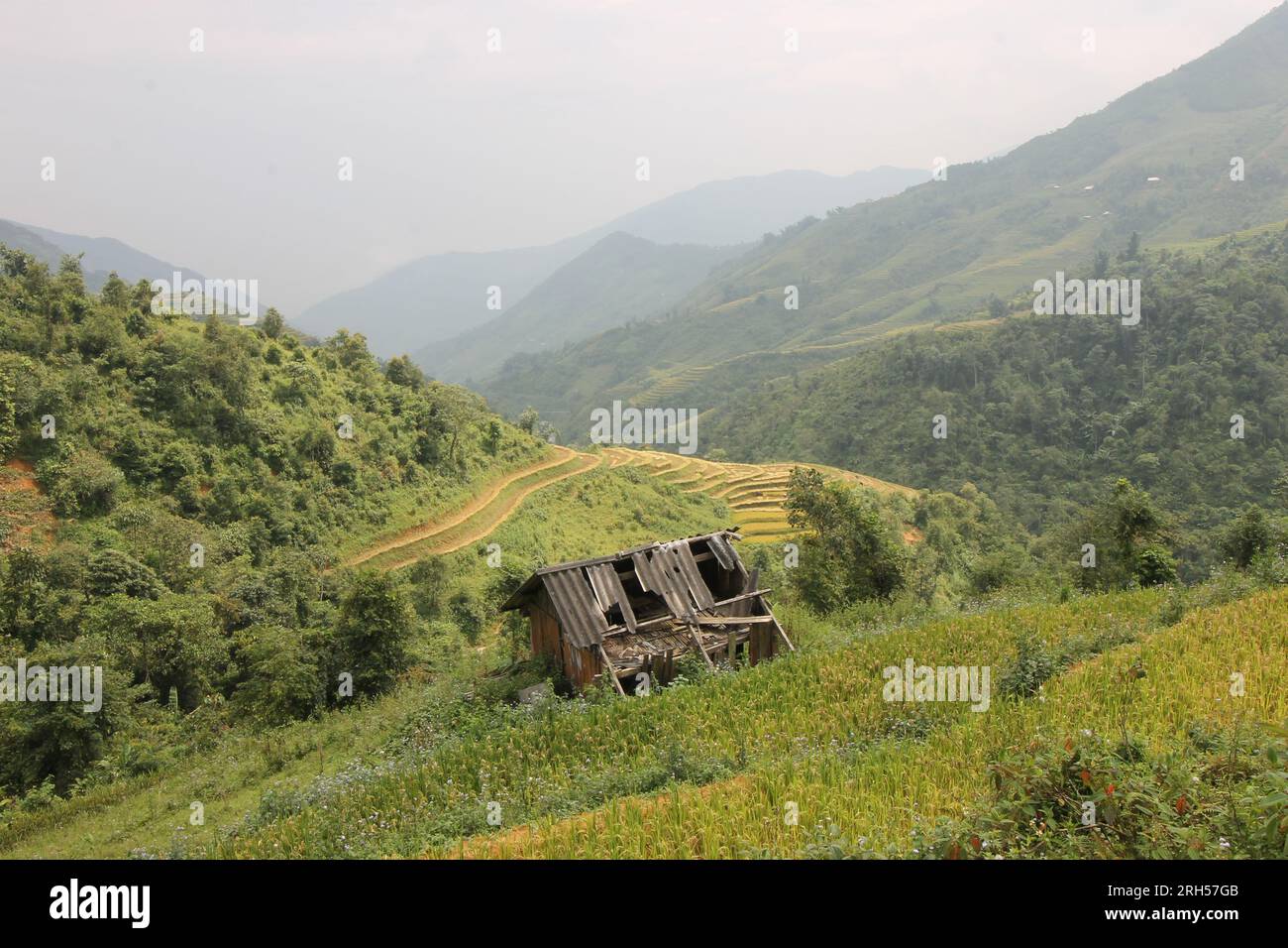 Life in Asia captured in amazing scene shots while travelling alone ...