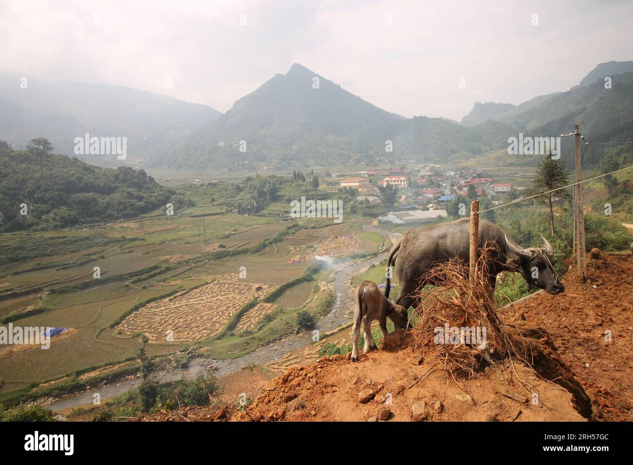 Life in Asia captured in amazing scene shots while travelling alone ...