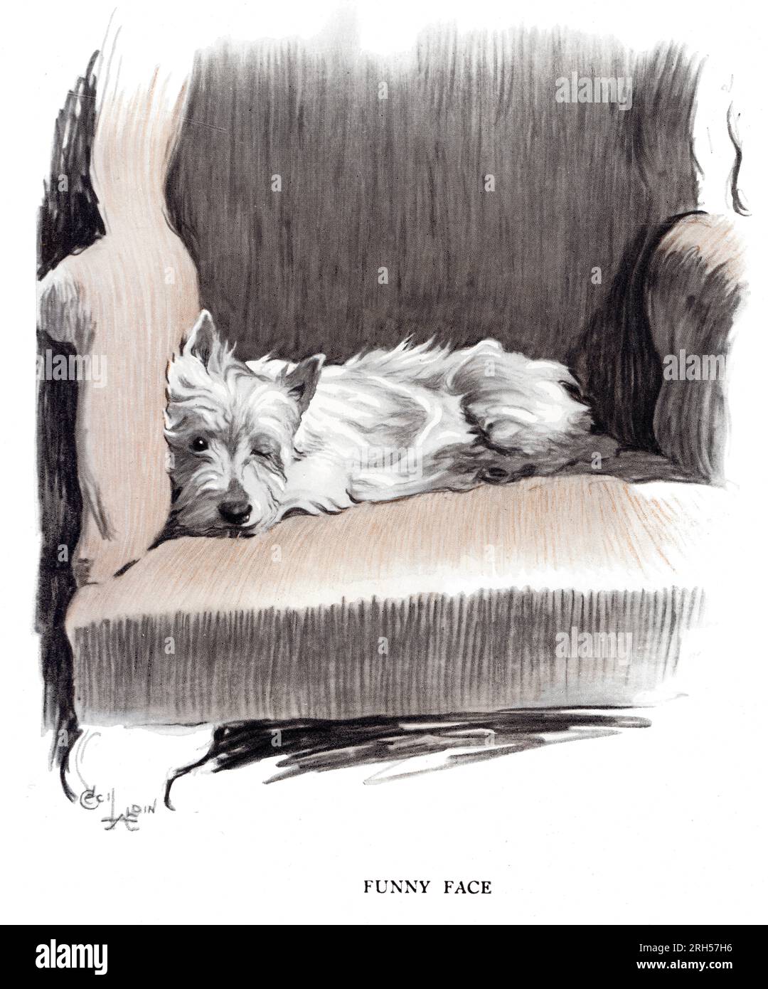 Cecil Alden (1870-1935) - An Artist's Models 1930 p.68 - Funny Face ...