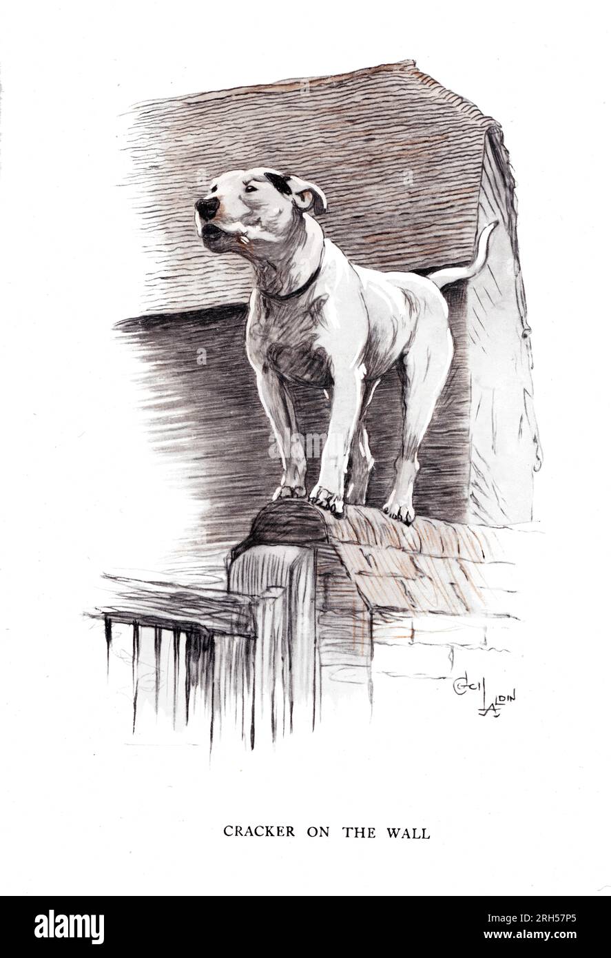 Cecil Alden (1870-1935) - An Artist's Models 1930 p.32 Cracker on the ...