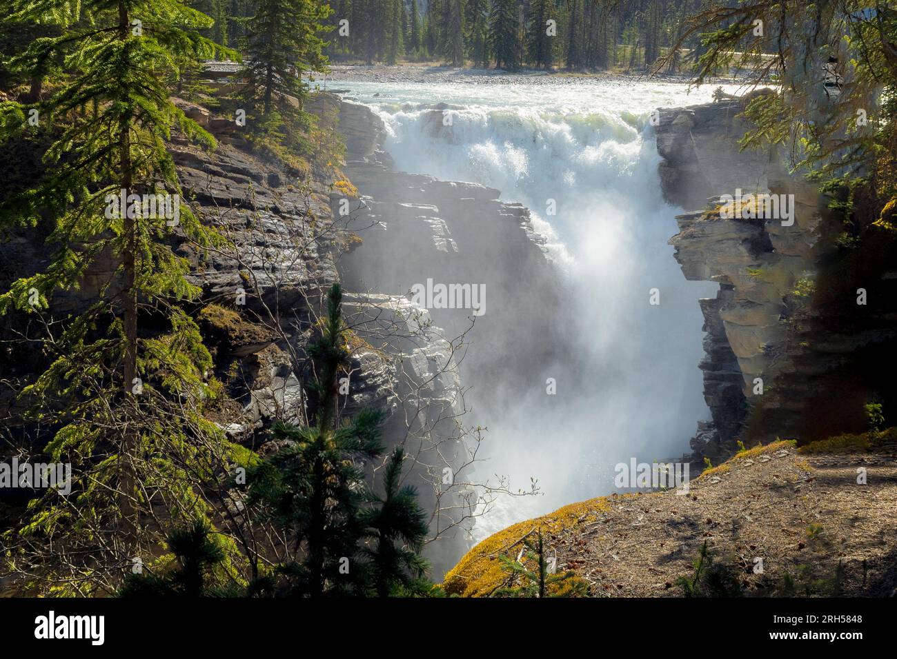 Powerful Athabasca Falls in Alberta, Canada Stock Photo - Alamy