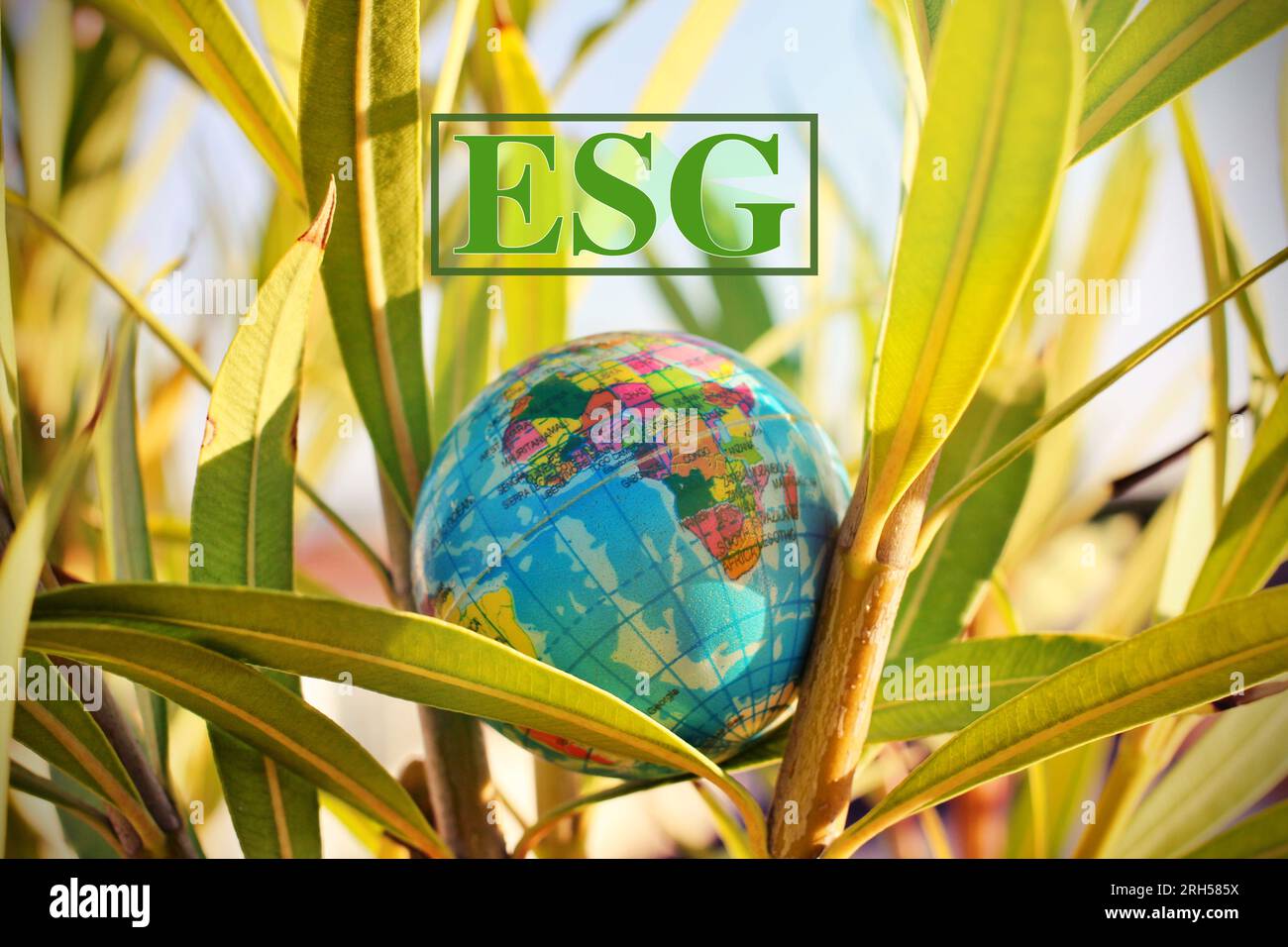 ESG concept of environmental, social and governance.words ESG on a ...
