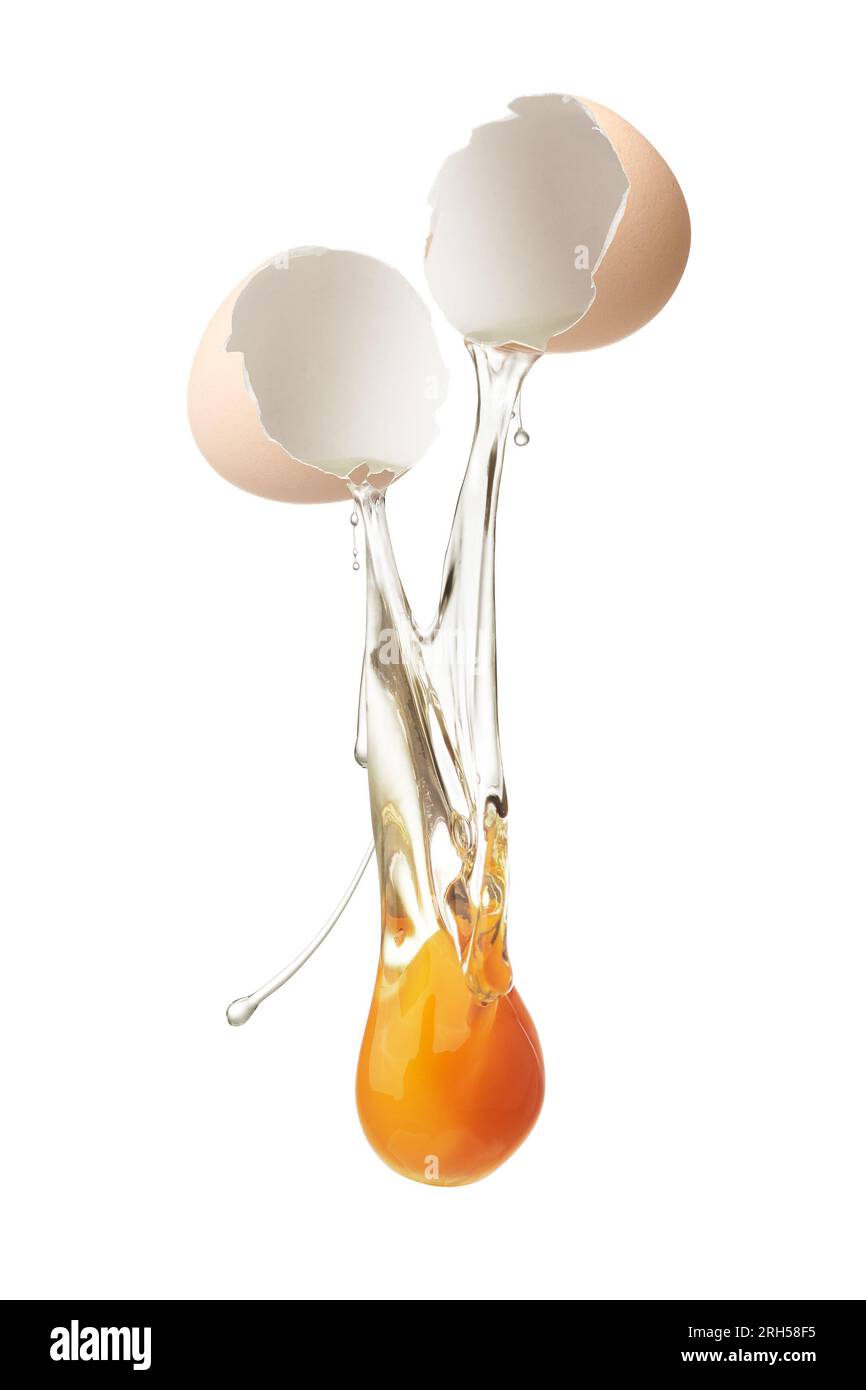 Egg yolk and white dropping out of cracked shell Stock Photo - Alamy