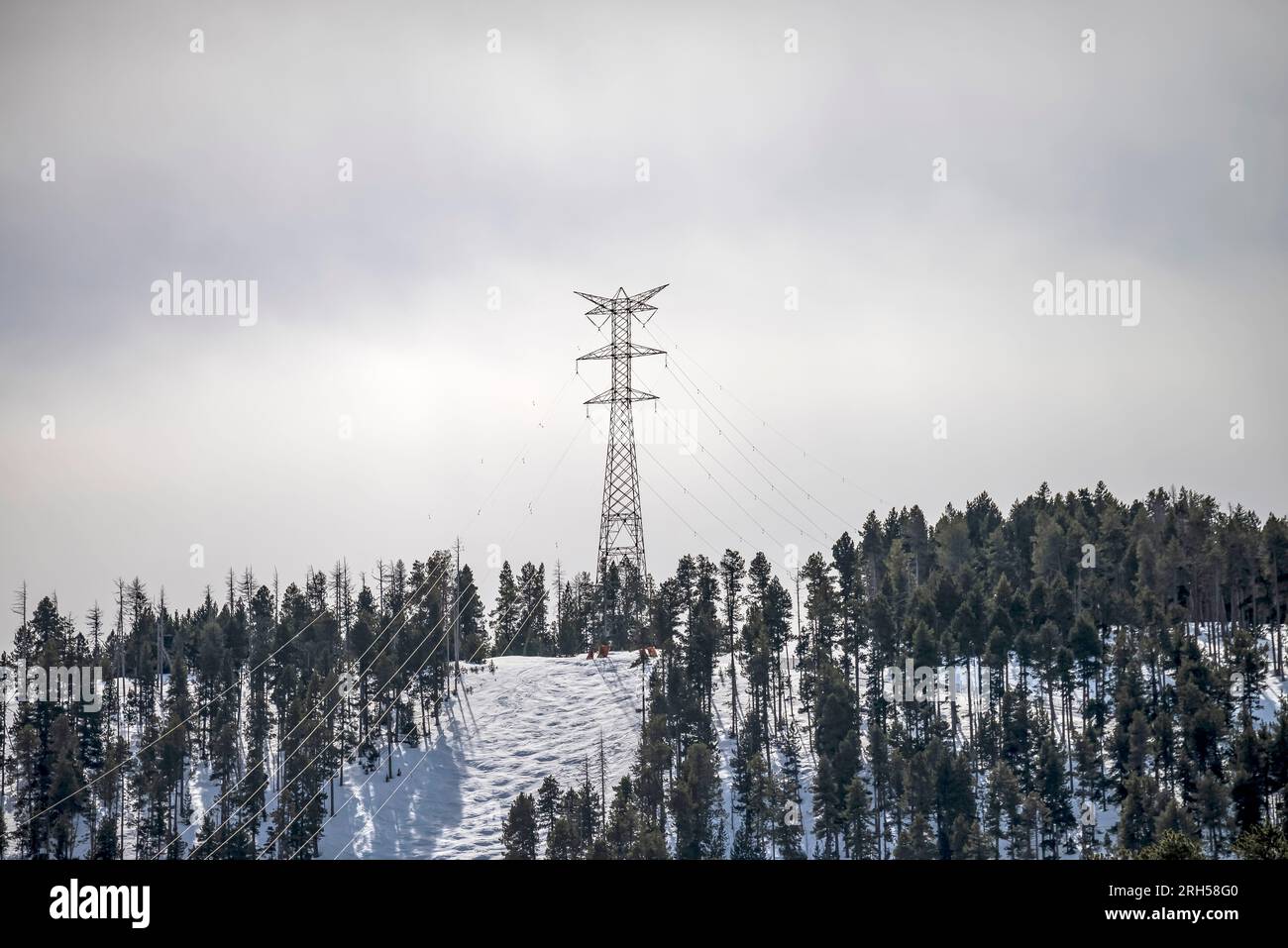 Electric Power Masts in Winter Stock Photo - Alamy