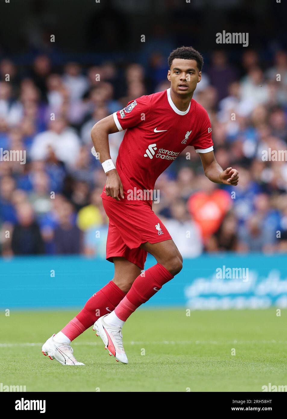 London, UK. 13th Aug, 2023. Cody Gapko of Liverpool during the Premier ...
