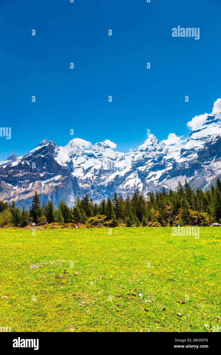 Views of mountains, meadows and forest surrounding Oeschinen Lake ...
