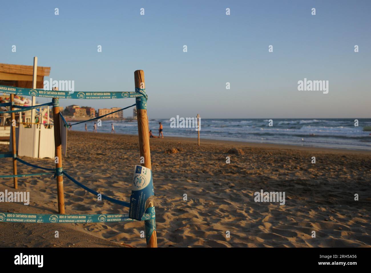 Turtle nest. Loggerhead sea turtle nesting site. Special constructions ...