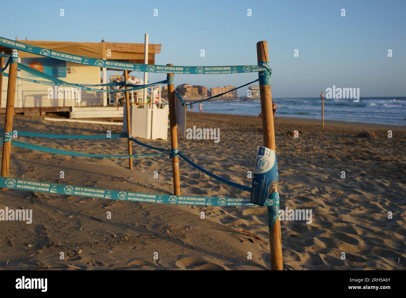 Turtle nest. Loggerhead sea turtle nesting site. Special constructions ...