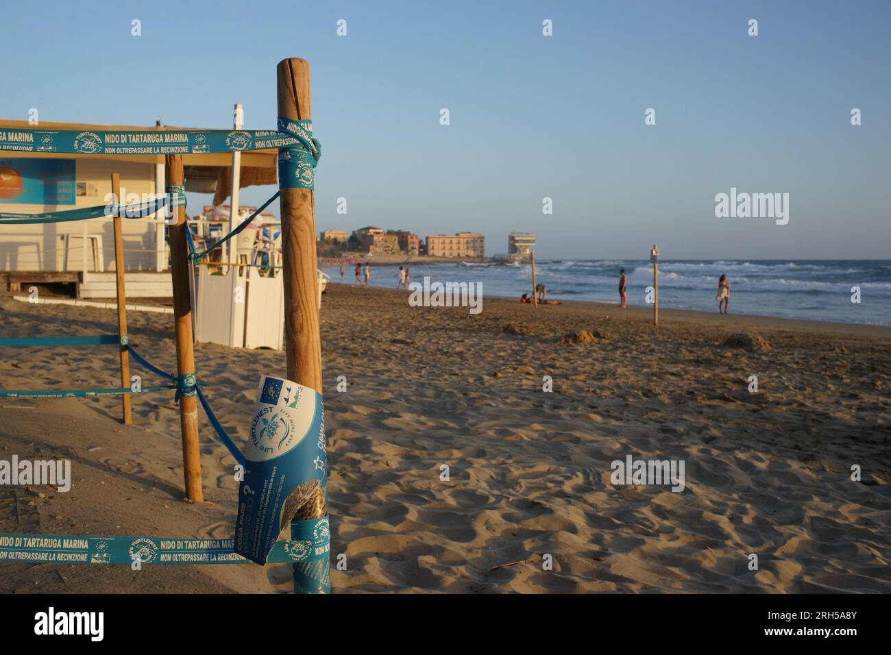 Turtle nest. Loggerhead sea turtle nesting site. Special constructions ...