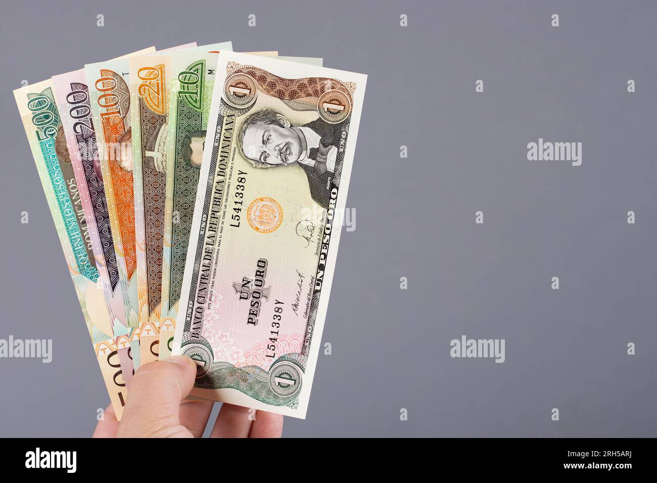 Dominican money - peso in the hand on a gray background Stock Photo - Alamy