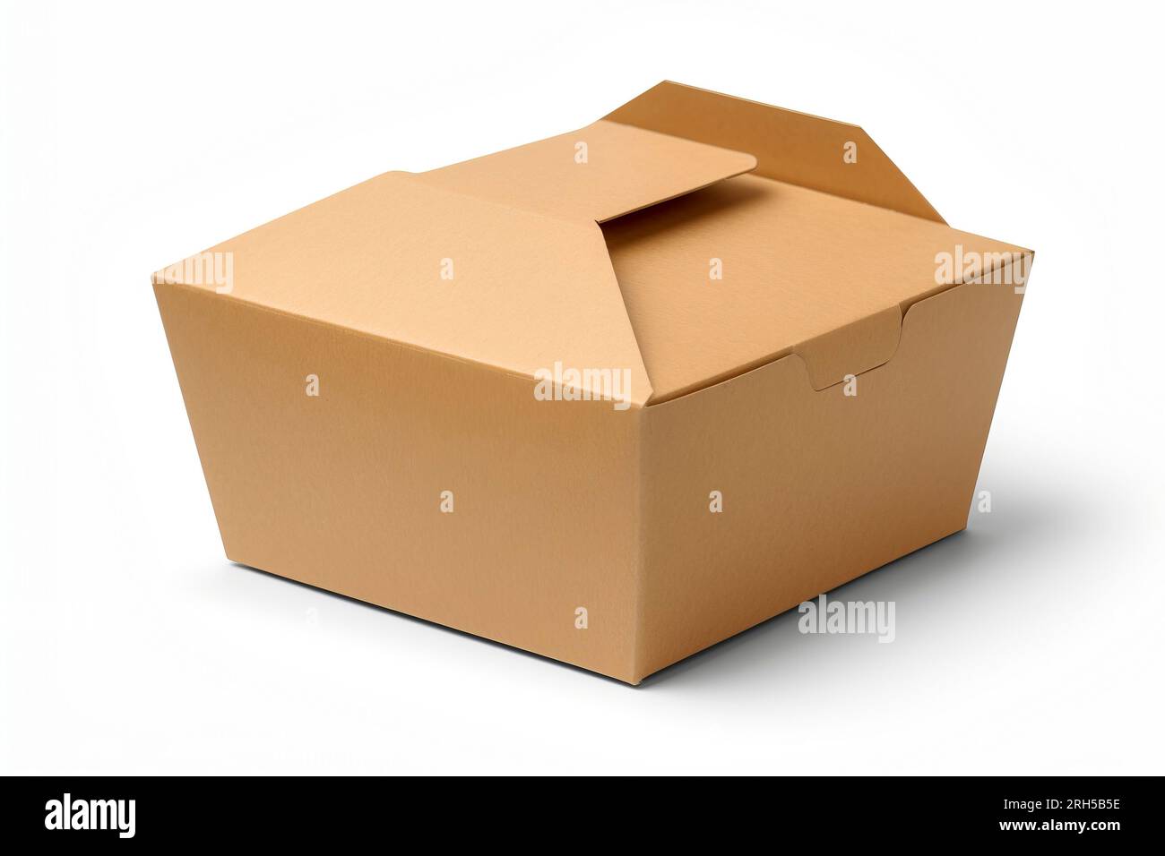 A food delivery box perfectly isolated on a pristine white background ...