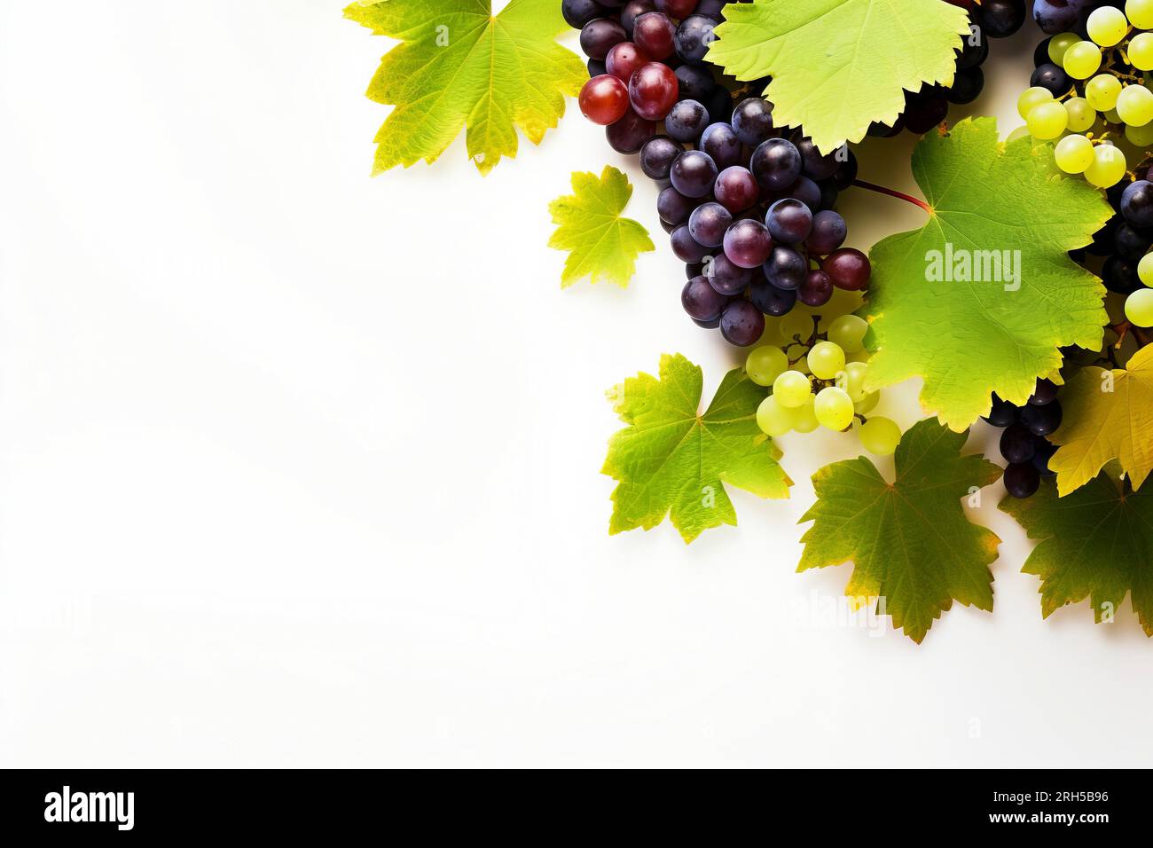 Top view of fresh grapes symbolizing natural autumnal food, beautifully ...