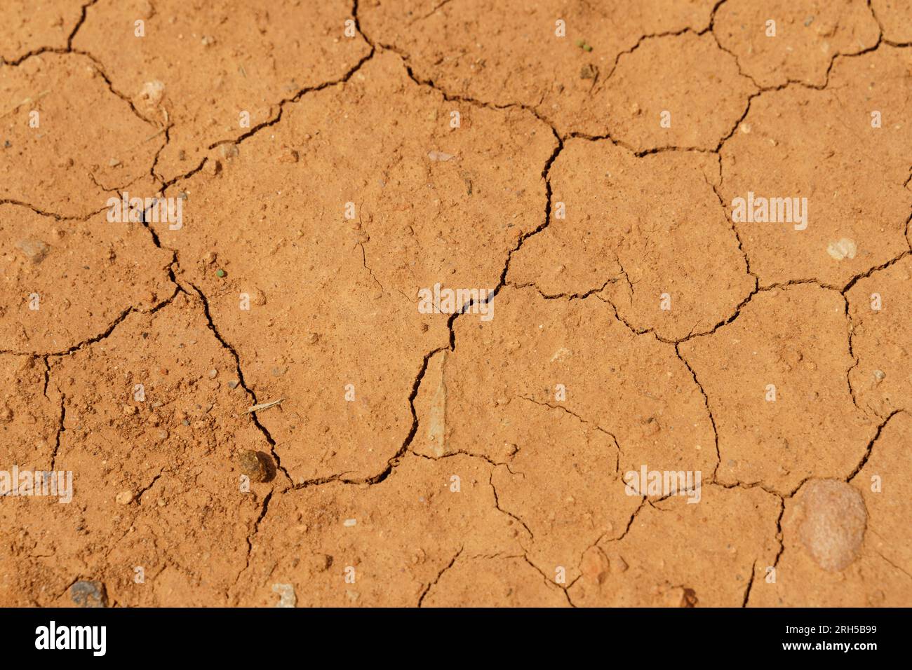 Cracked texture of dried clay earth, close-up Stock Photo - Alamy