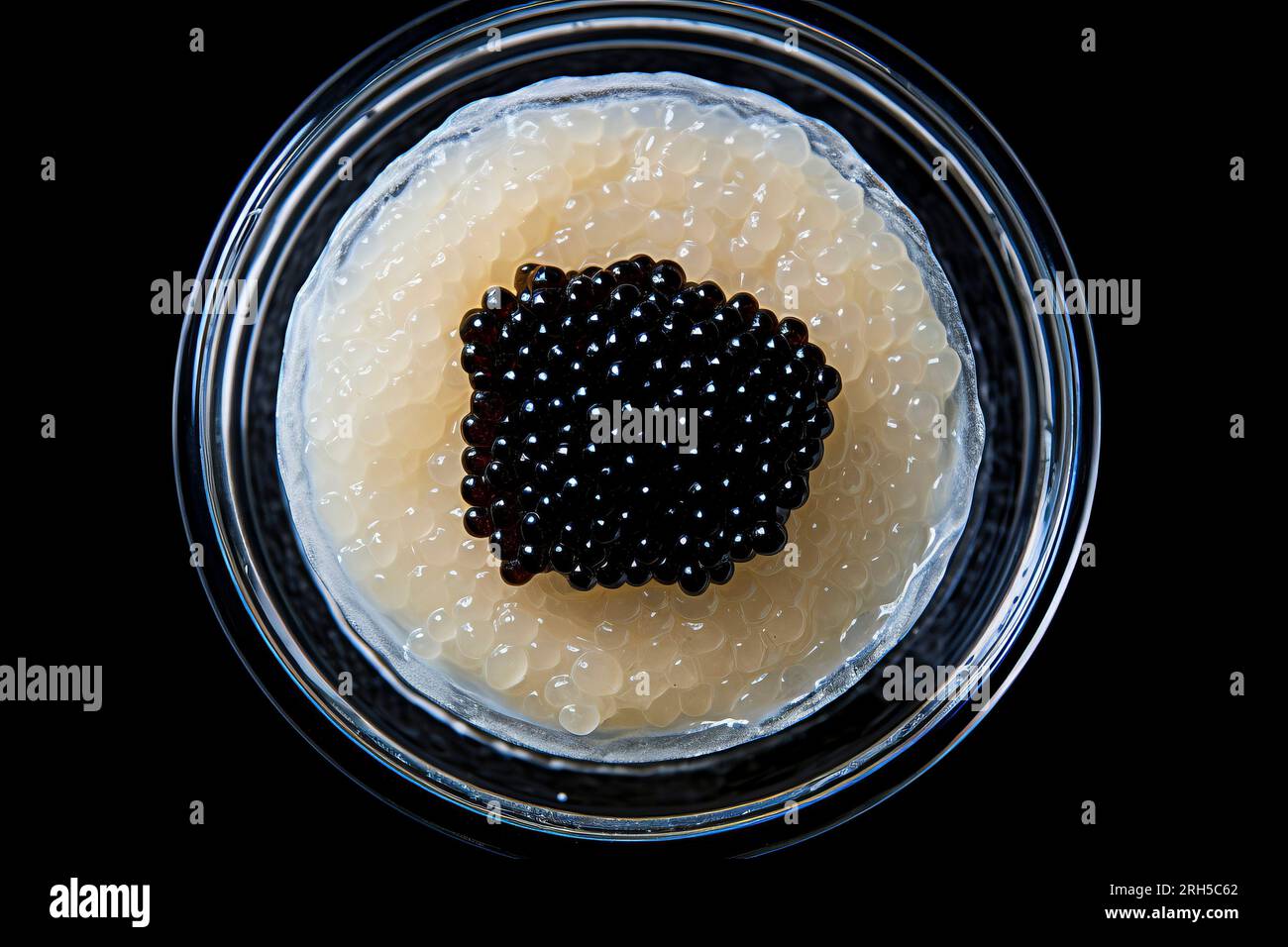 Luxurious caviar food composition for gourmet dining and culinary ...