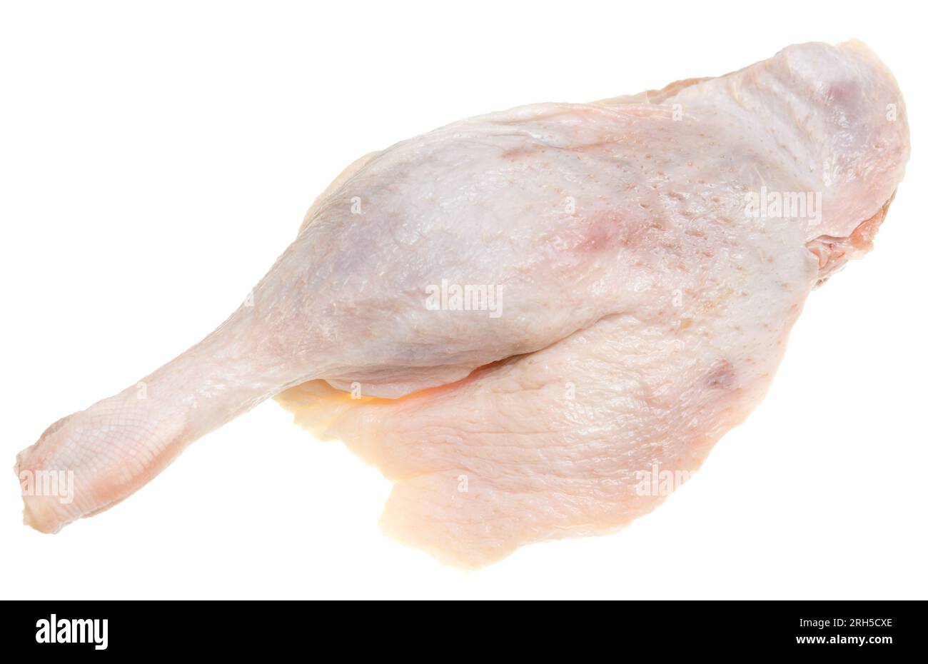 Duck leg isolated on white background Stock Photo - Alamy