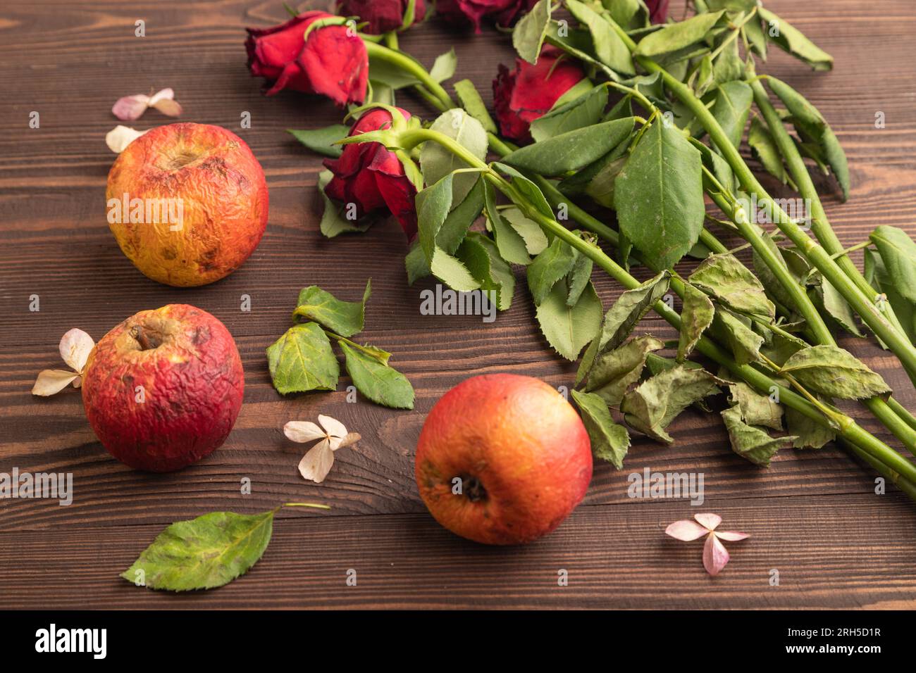 Withered, decaying, roses flowers and apples on brown wooden background ...