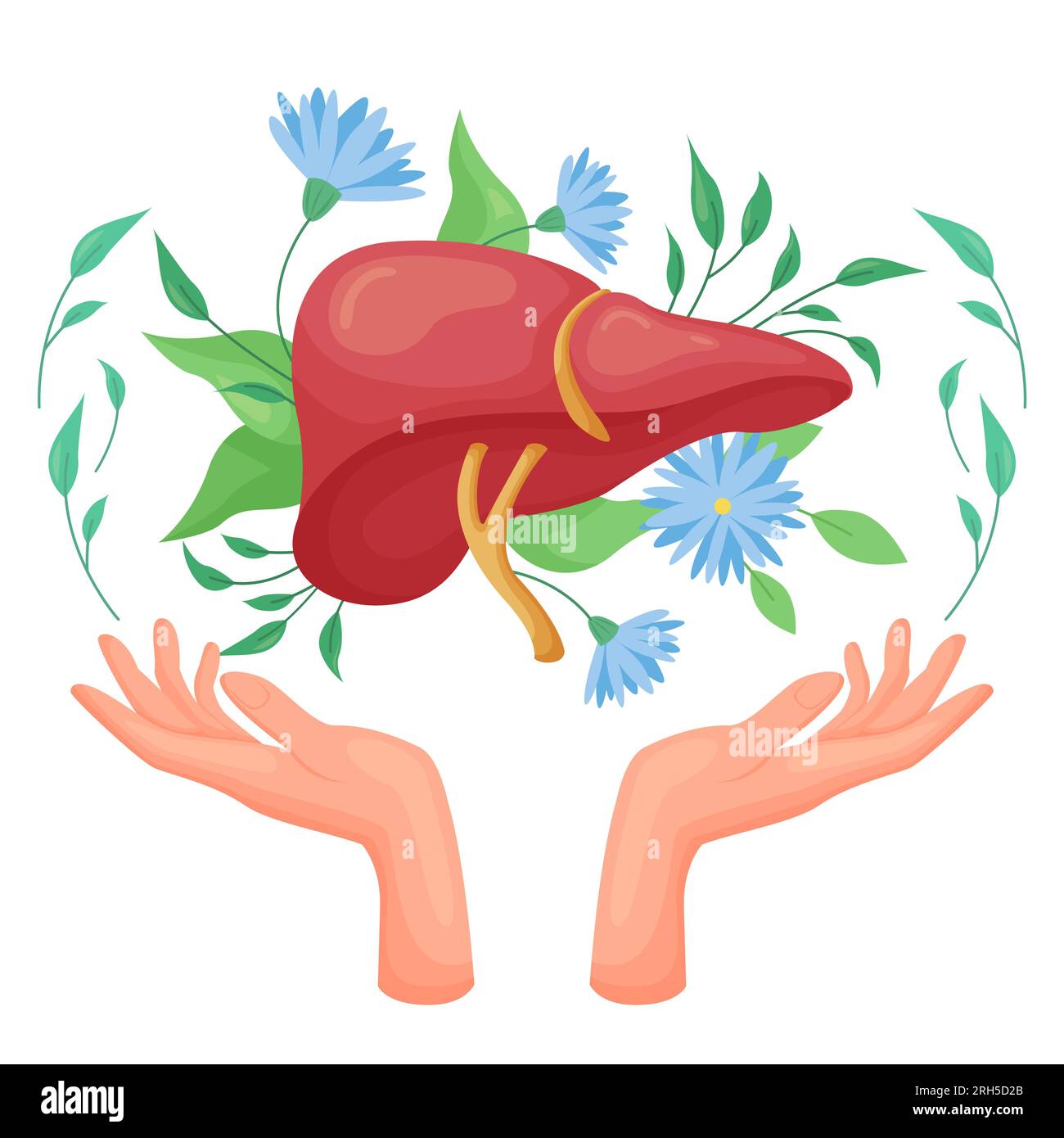 Hepatology, liver health care and detox vector illustration. Cartoon ...