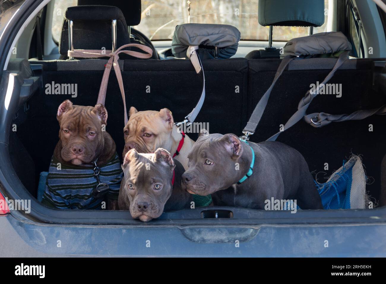 Four seat car hi-res stock photography and images - Alamy