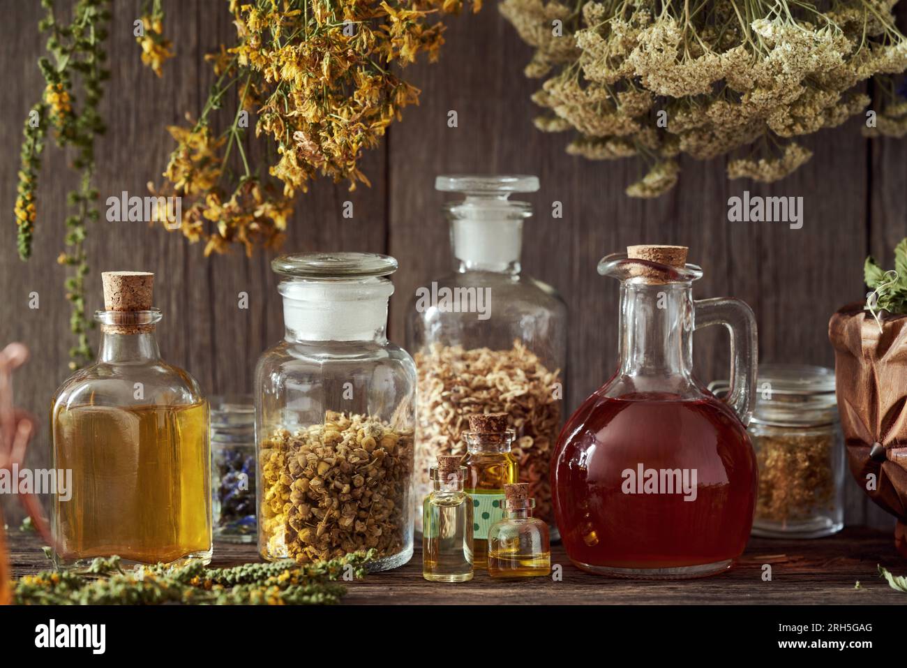 Foraging for food and self sufficiency hi-res stock photography and ...