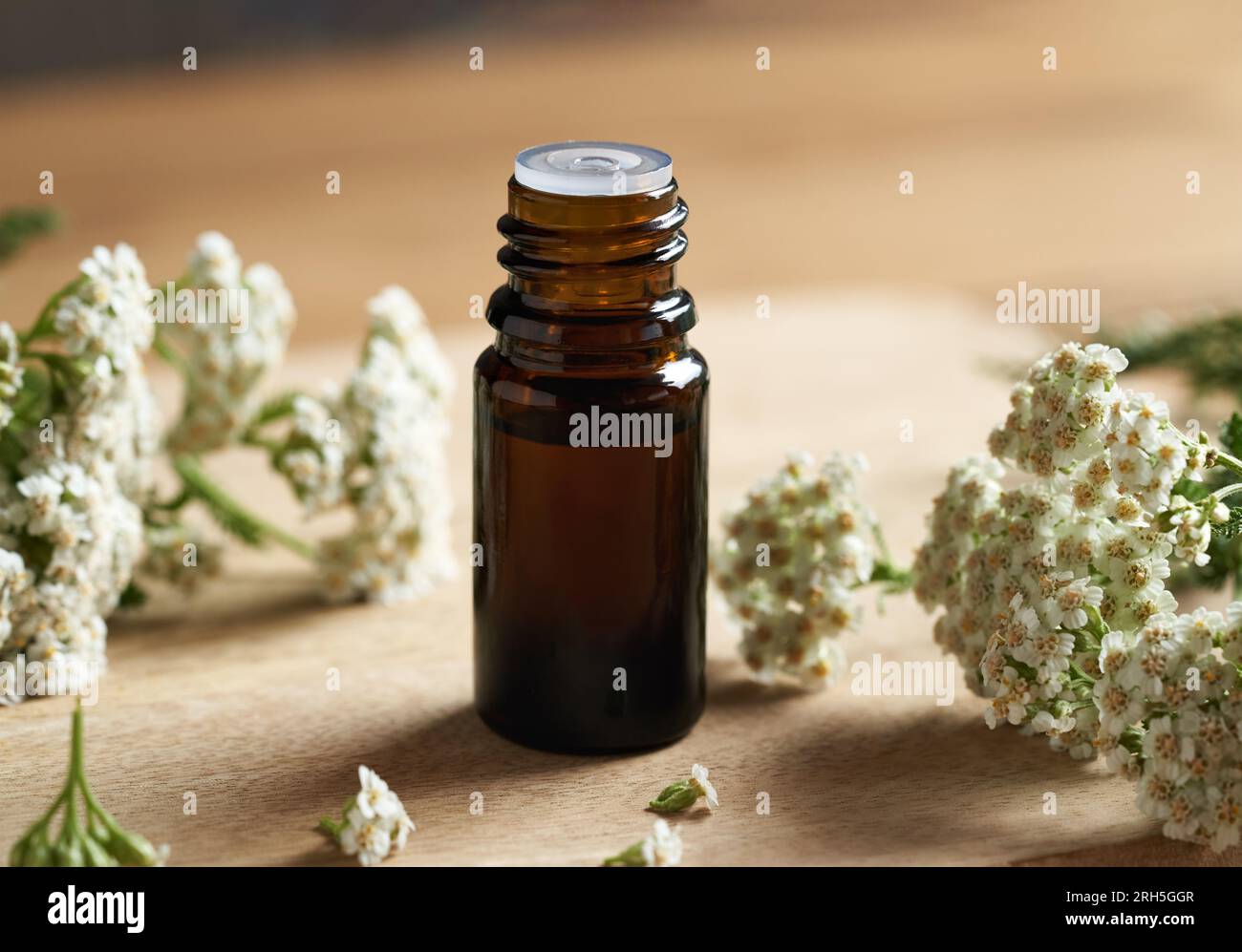 Bottle yarrow essential oil hi-res stock photography and images - Alamy