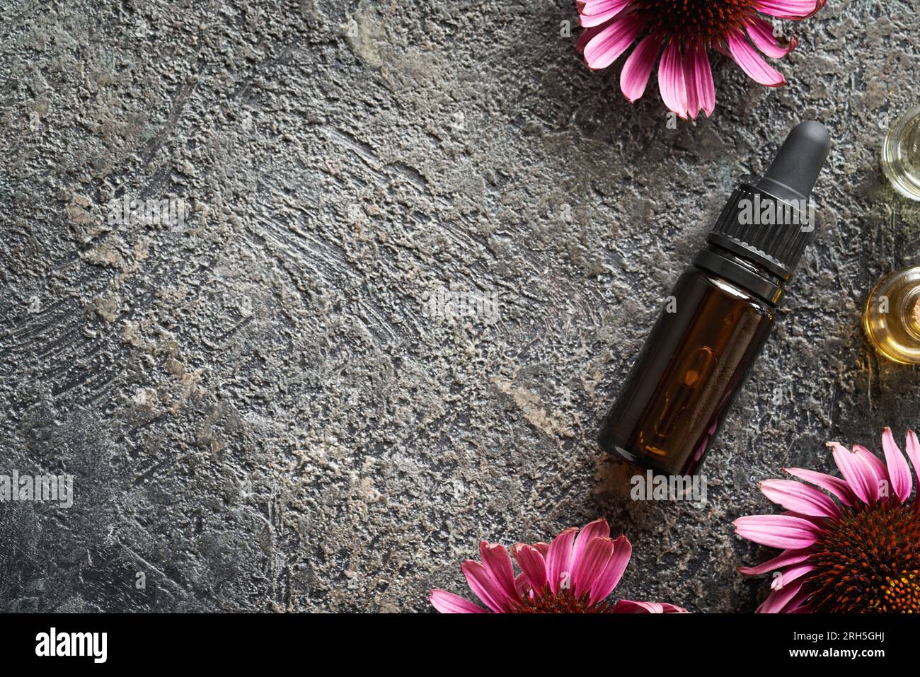 Echinacea tincture and oils with fresh flowers on dark background with ...